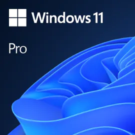 Microsoft HAV-00163 Windows 11 Pro Full packaged product (FPP) 64-bit ...